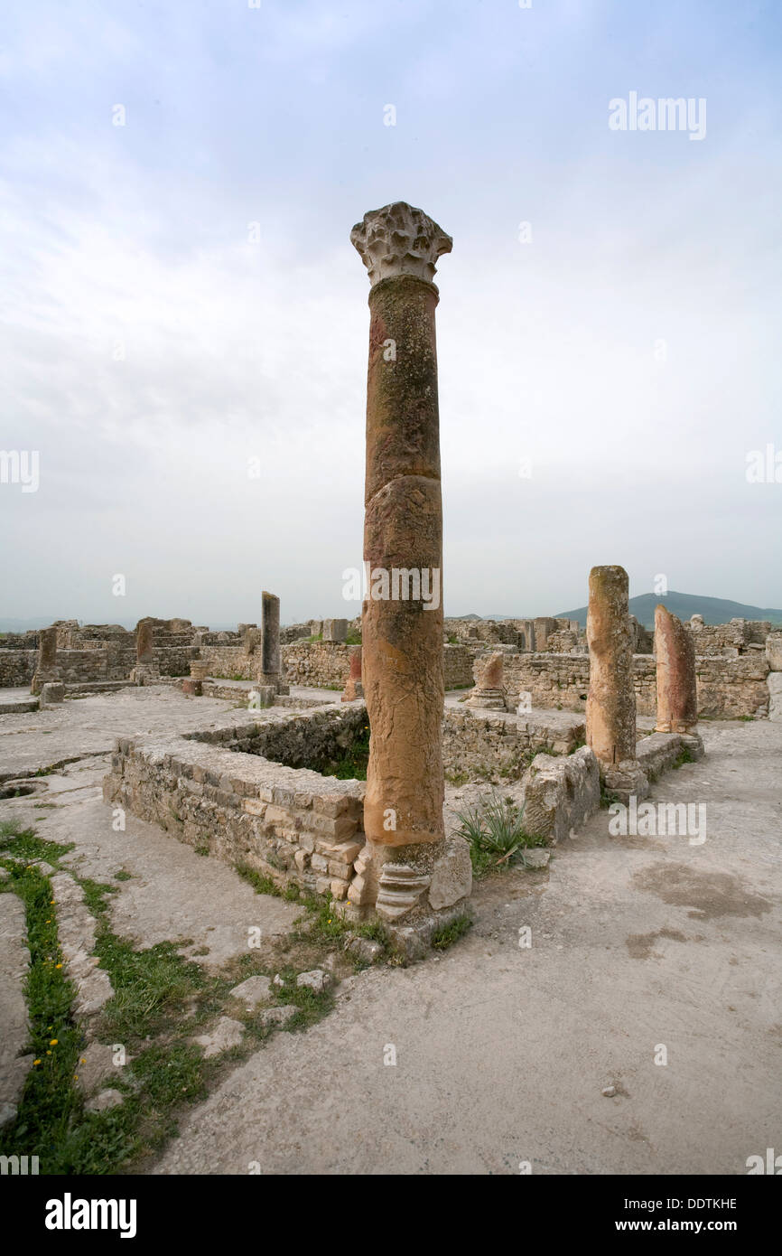 The House of the Hunting Scene, Bulla Regia, Tunisia. Artist: Samuel ...