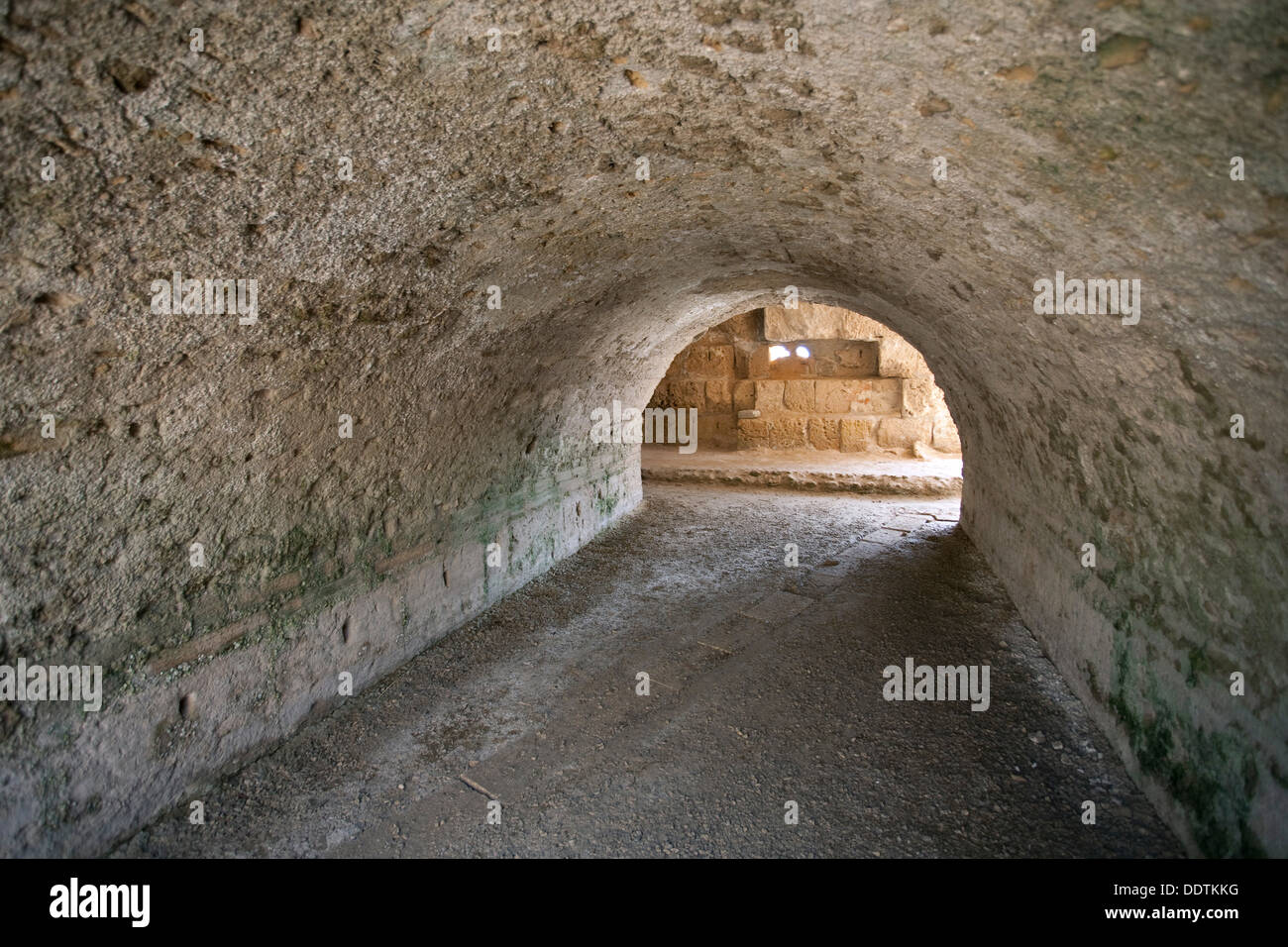 The Baths of Antoninus Pius at Carthage, Tunisia. Artist: Samuel Magal ...
