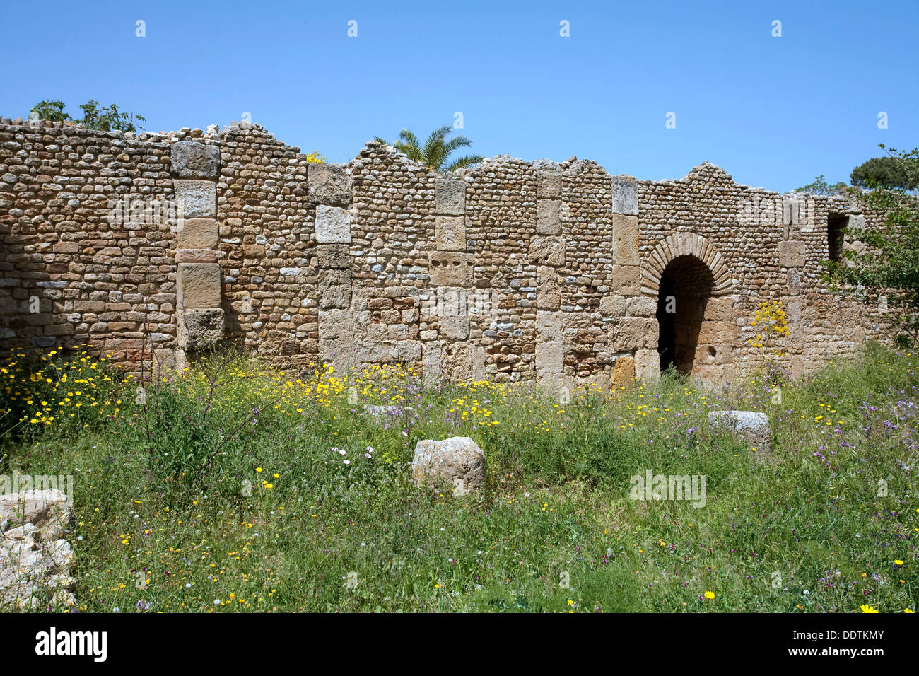 A Roman villa, Carthage, Tunisia. Artist: Samuel Magal Stock Photo - Alamy