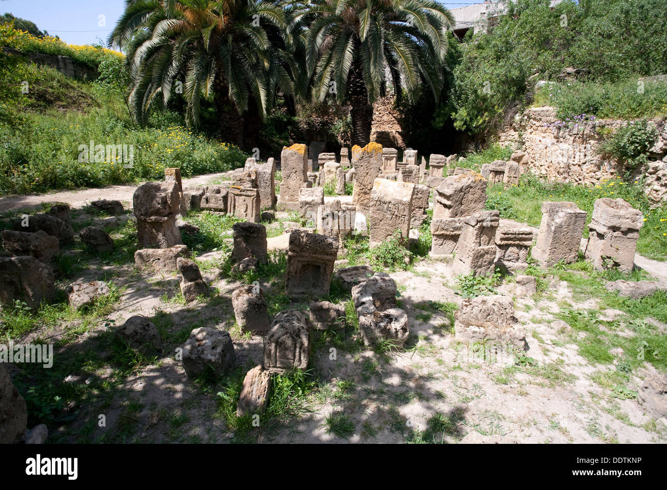 The Tophet at Carthage, Tunisia. Artist: Samuel Magal Stock Photo - Alamy