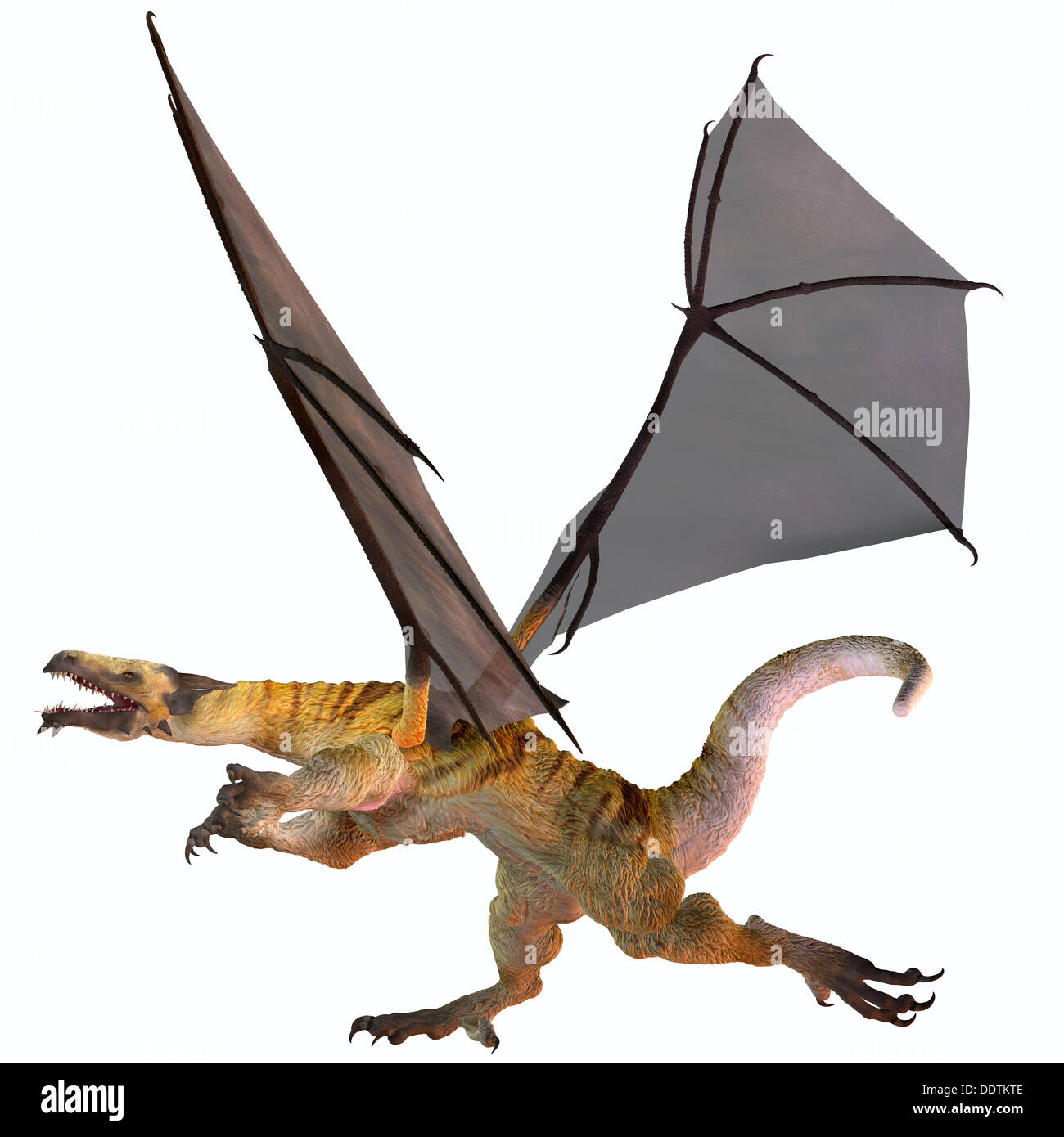 A creature of myth and fantasy the dragon is a fierce flying monster ...