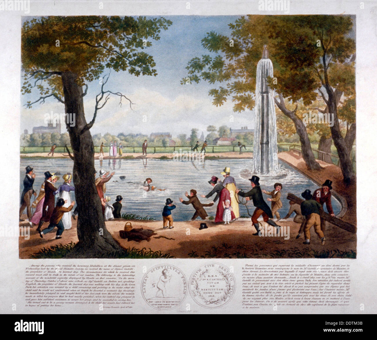 Rescue in Green Park, Westminster, London, 1817. Artist: Anon Stock ...