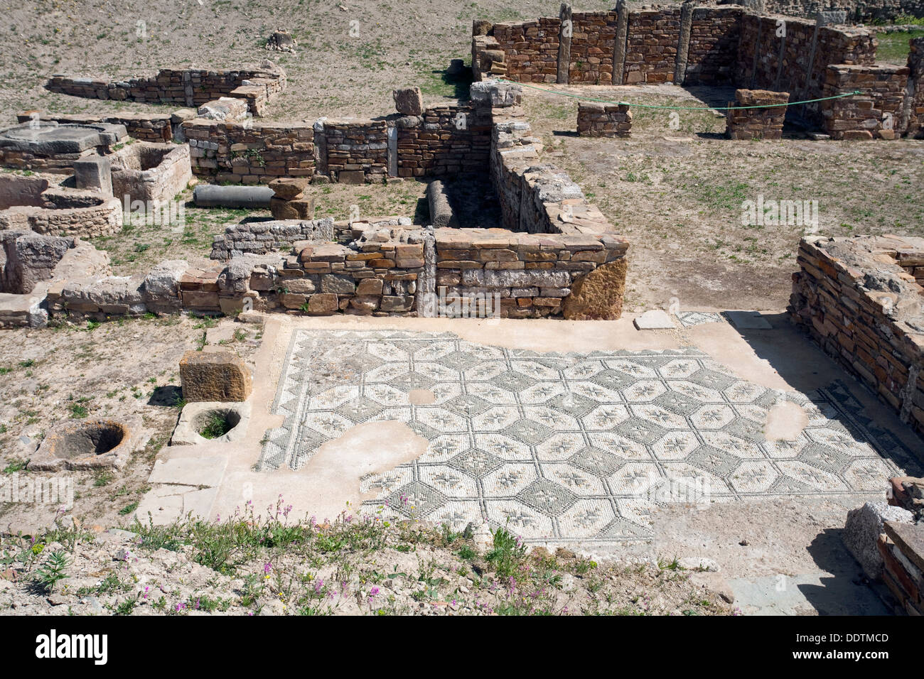 The House of the Dressed Animals, Thuburbo Maius, Tunisia. Artist ...
