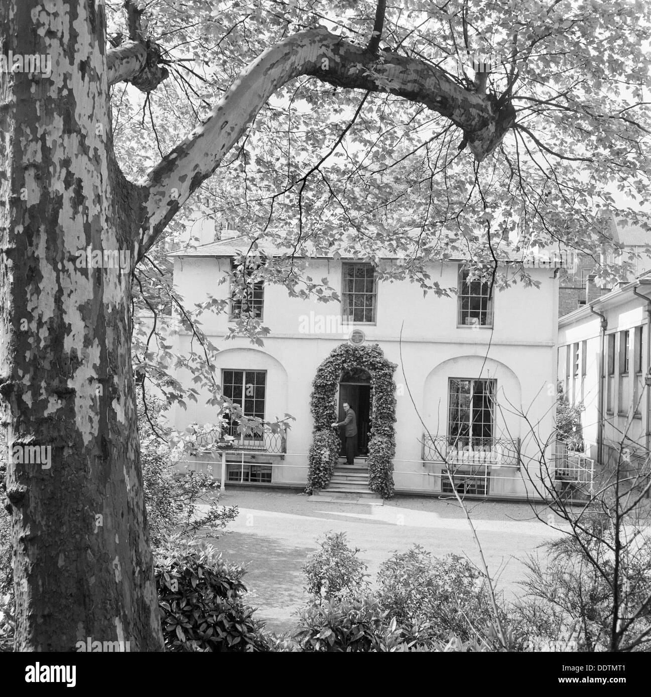 Keats house tree hi-res stock photography and images - Alamy