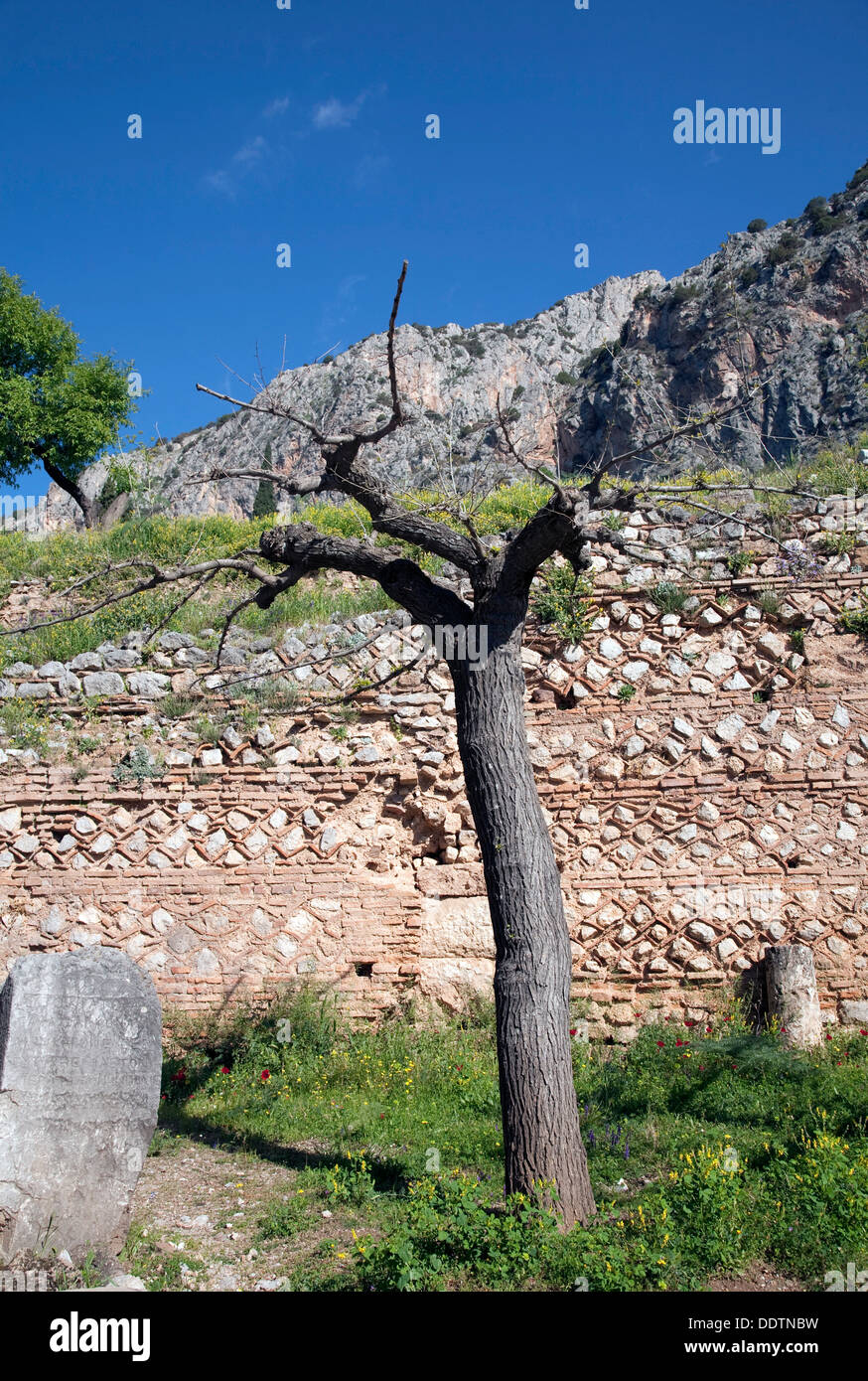 The walls of Delphi, Greece. Artist: Samuel Magal Stock Photo - Alamy The walls of Delphi, Greece. Artist: Samuel Magal Stock Photo - Alamy