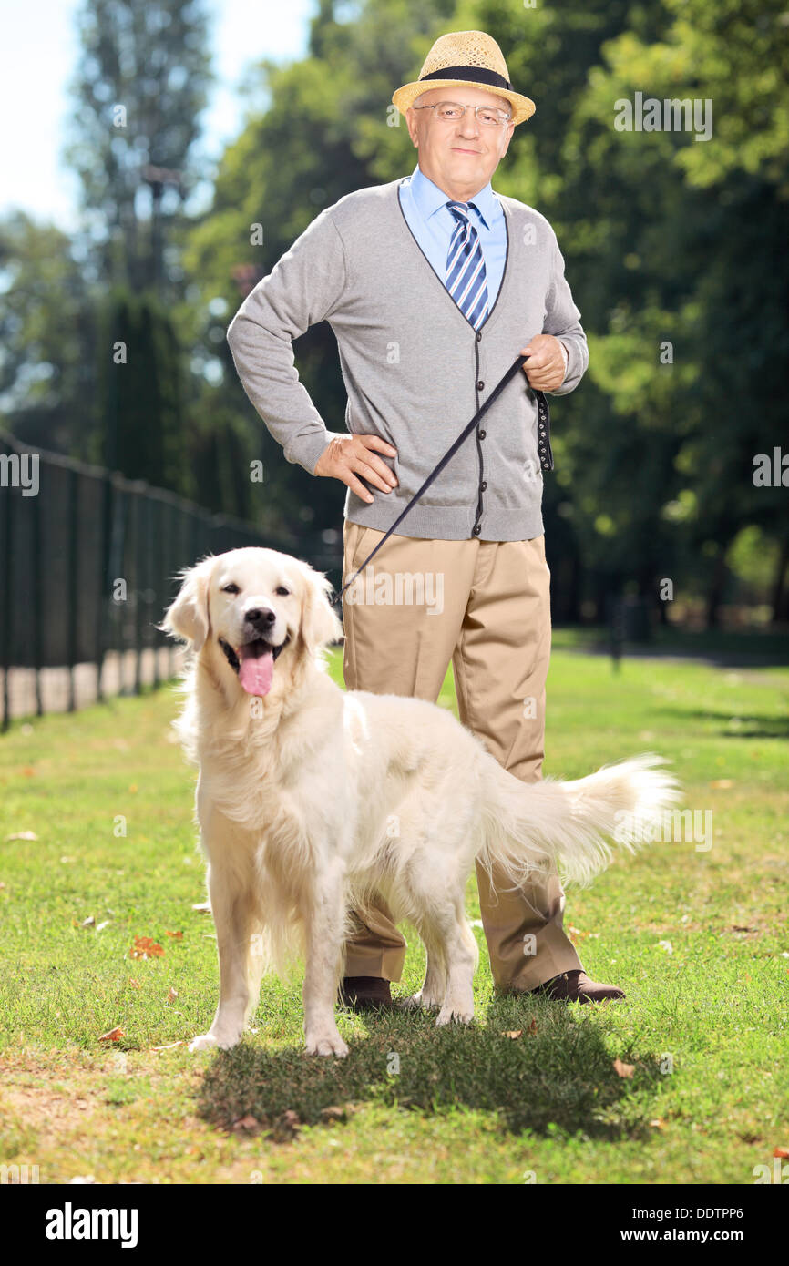 Senior man and his dog Labrador retriever posing in the park Stock ...