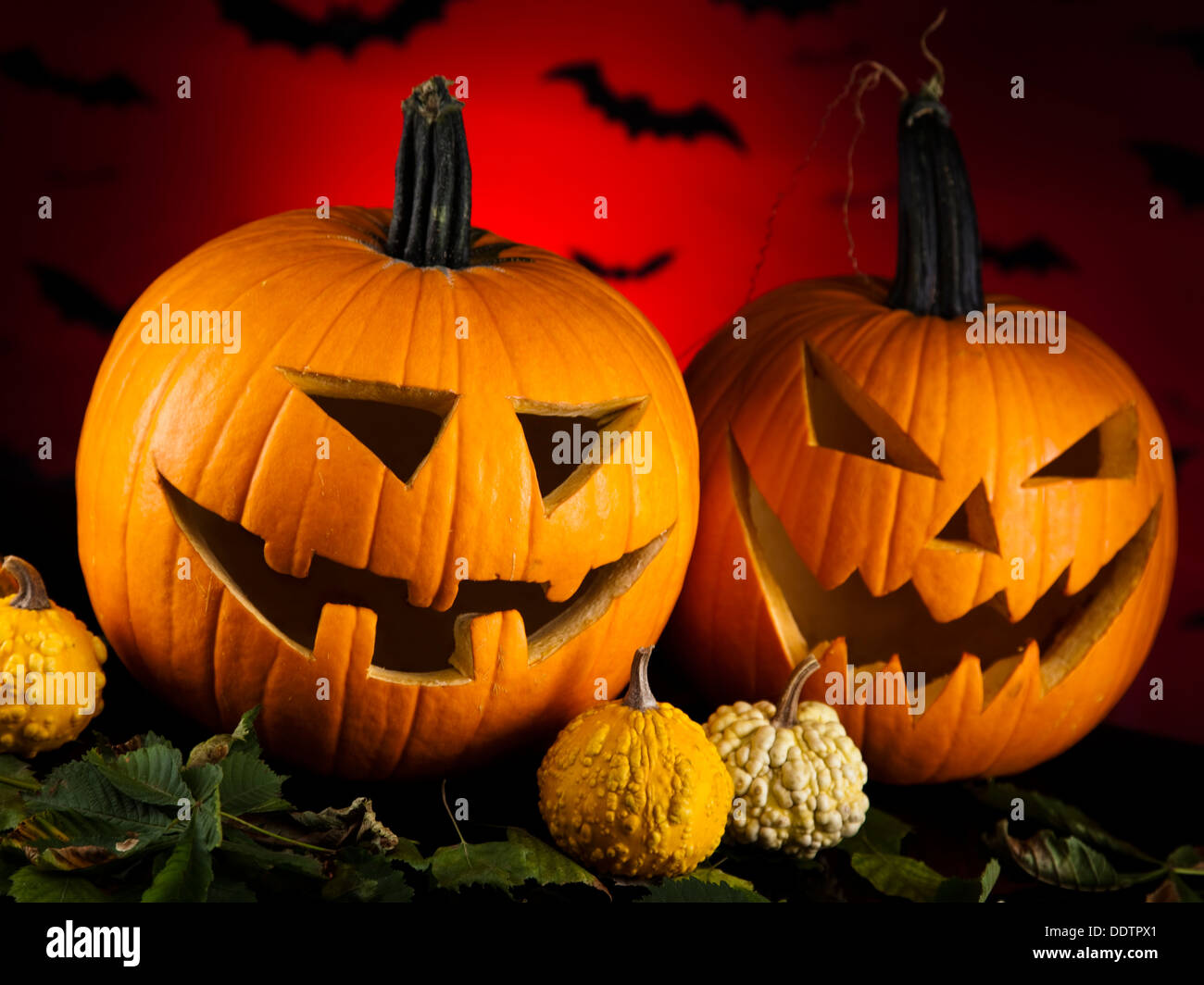 Halloween pumpkins in the Grass Bats Stock Photo - Alamy