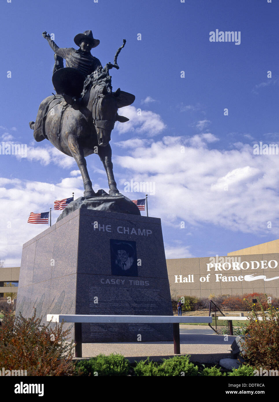 Pro rodeo hi-res stock photography and images - Alamy