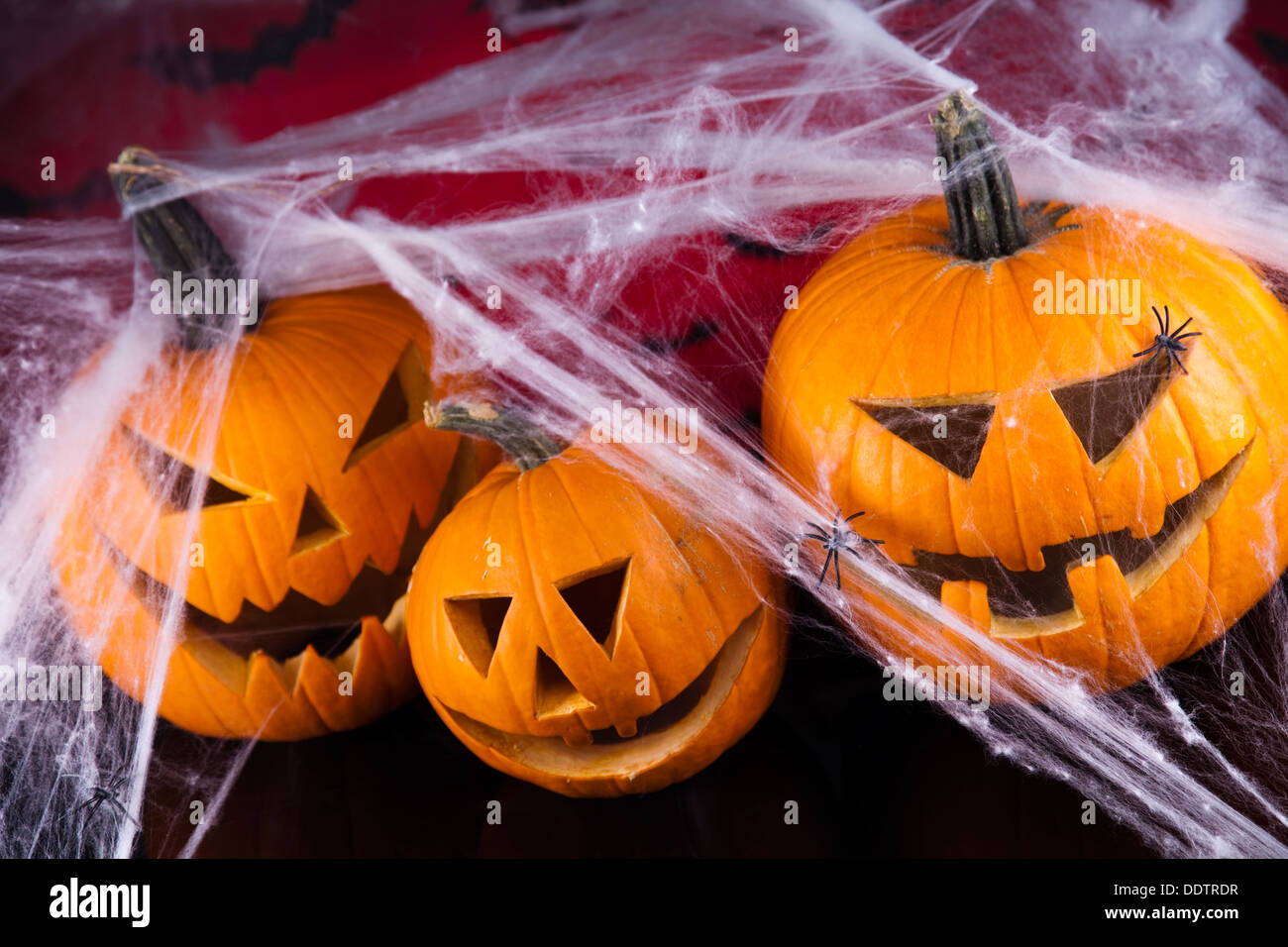 Halloween background with web and spider,pumpkin Stock Photo - Alamy
