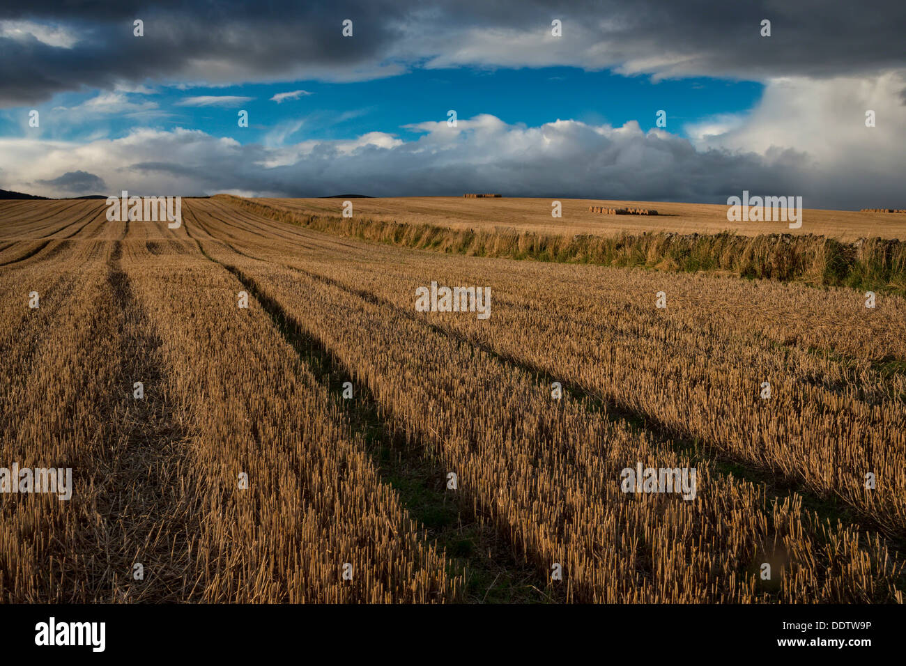 Fields and storm hi-res stock photography and images - Alamy