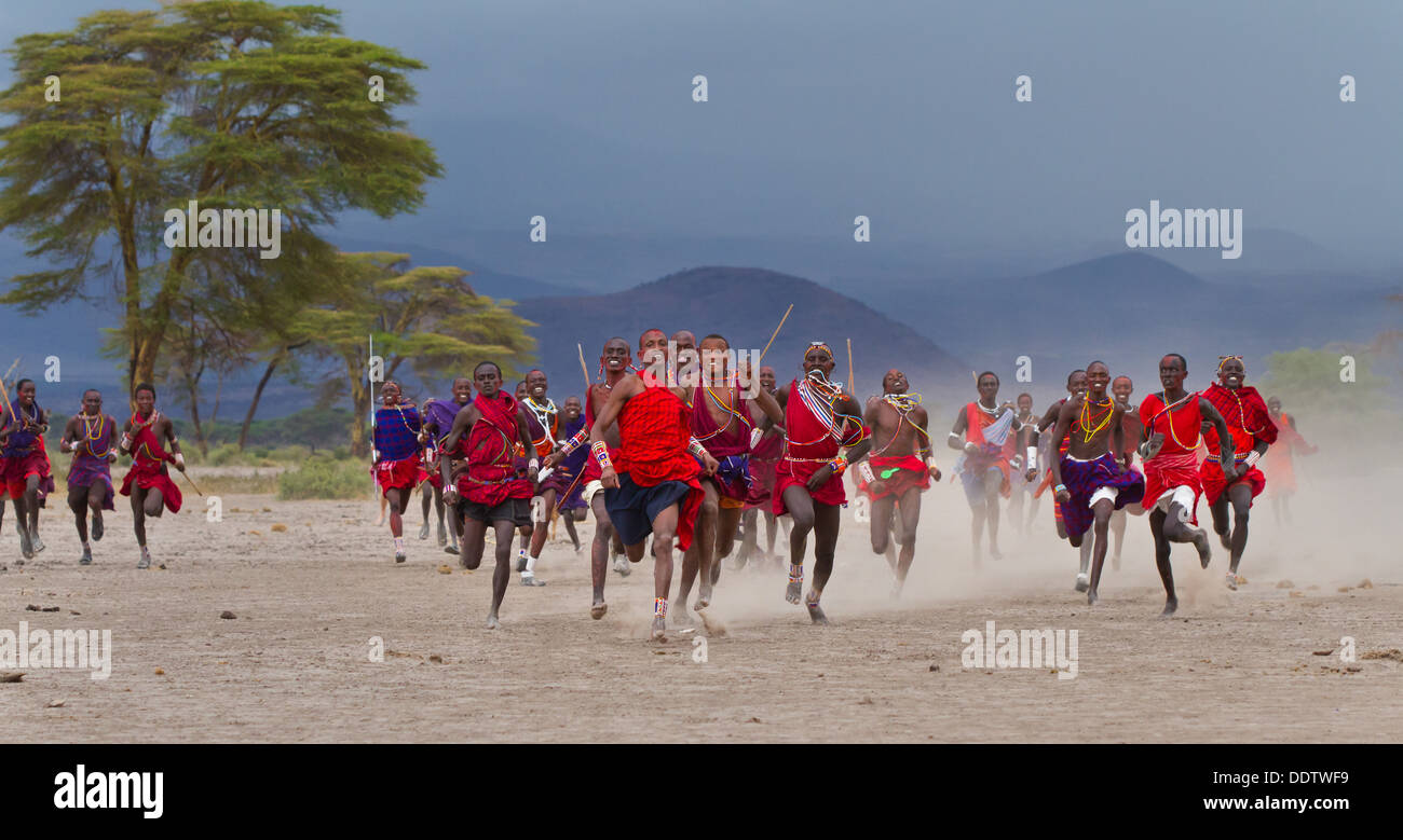 Masai warriors dressed in traditional shukas hi-res stock photography ...