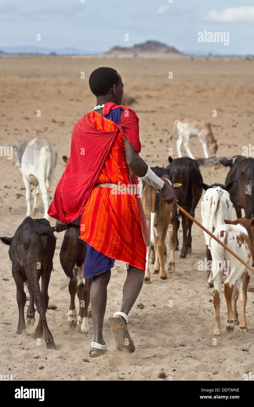 Masai traditional man hi-res stock photography and images - Alamy