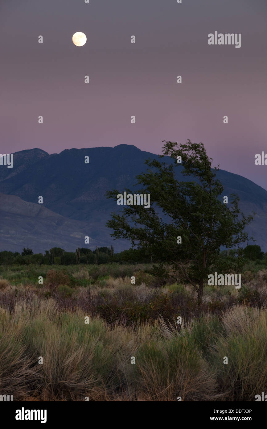 Full moon rising over sierra nevada mountains hi-res stock photography ...