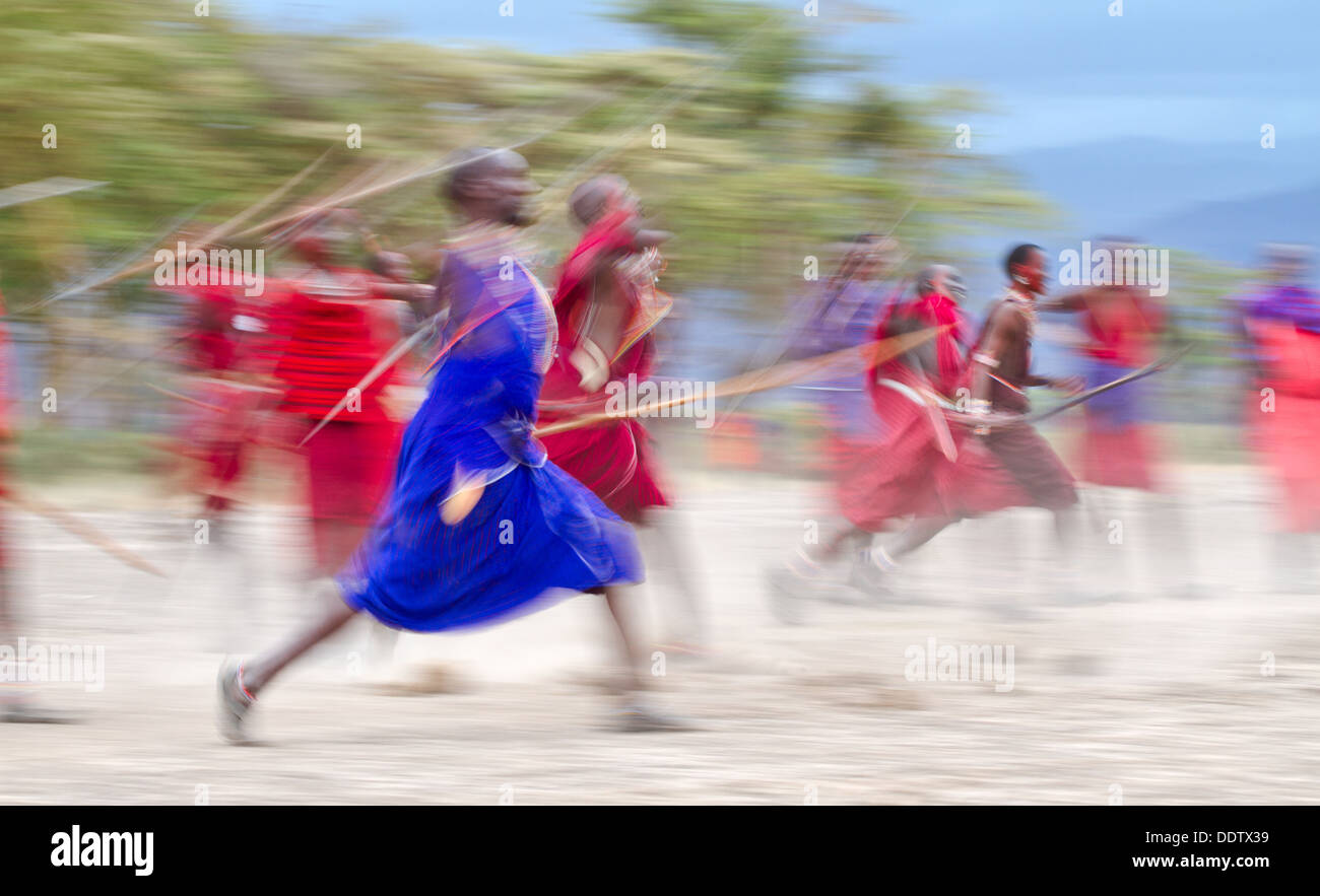 Masai warriors dressed in traditional shukas hi-res stock photography ...