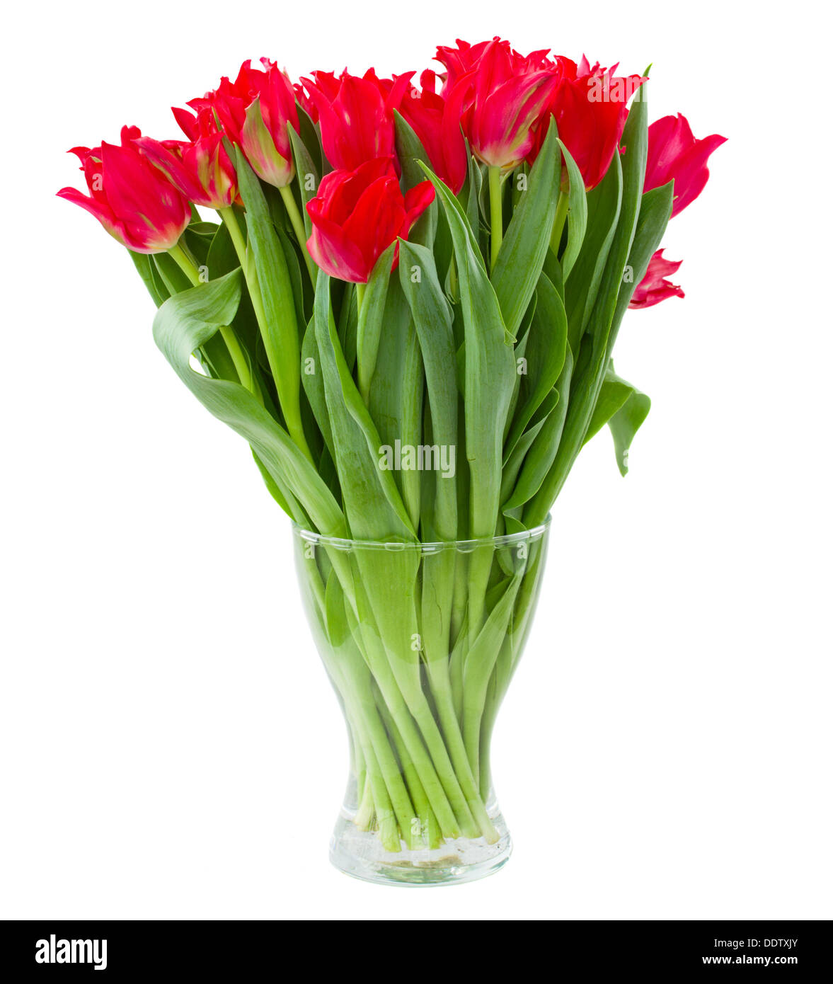 spring red flowers Stock Photo - Alamy