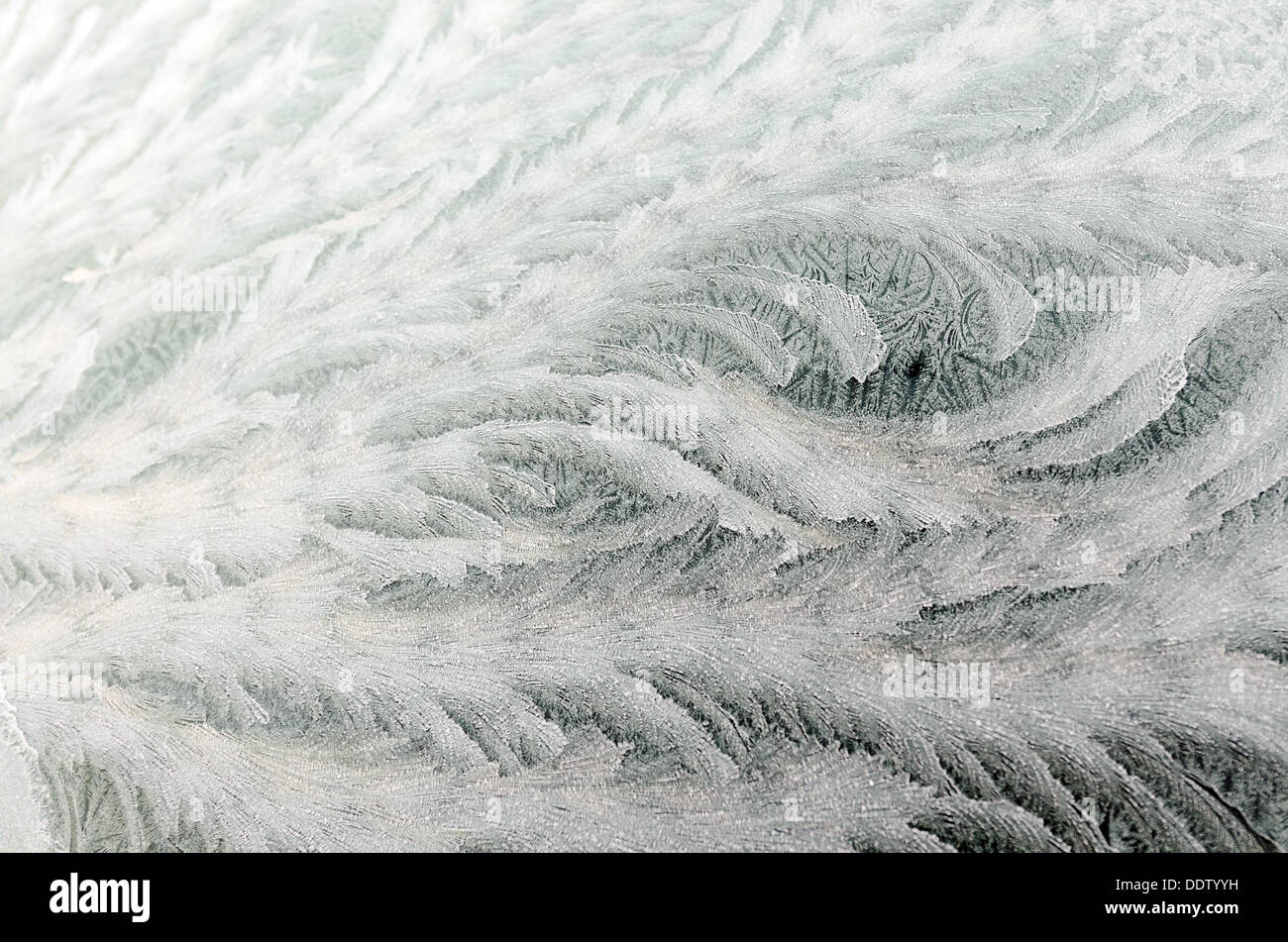 Frost pattern on car windscreen caused by sub zero temperarure and ...