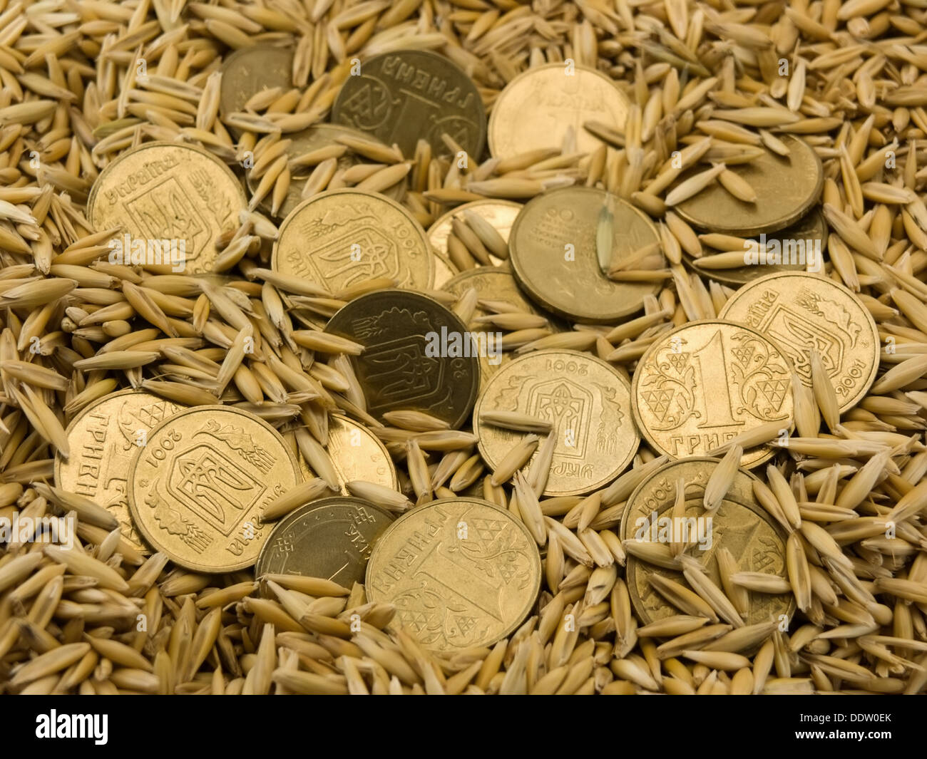 Grain seed bank hi-res stock photography and images - Alamy