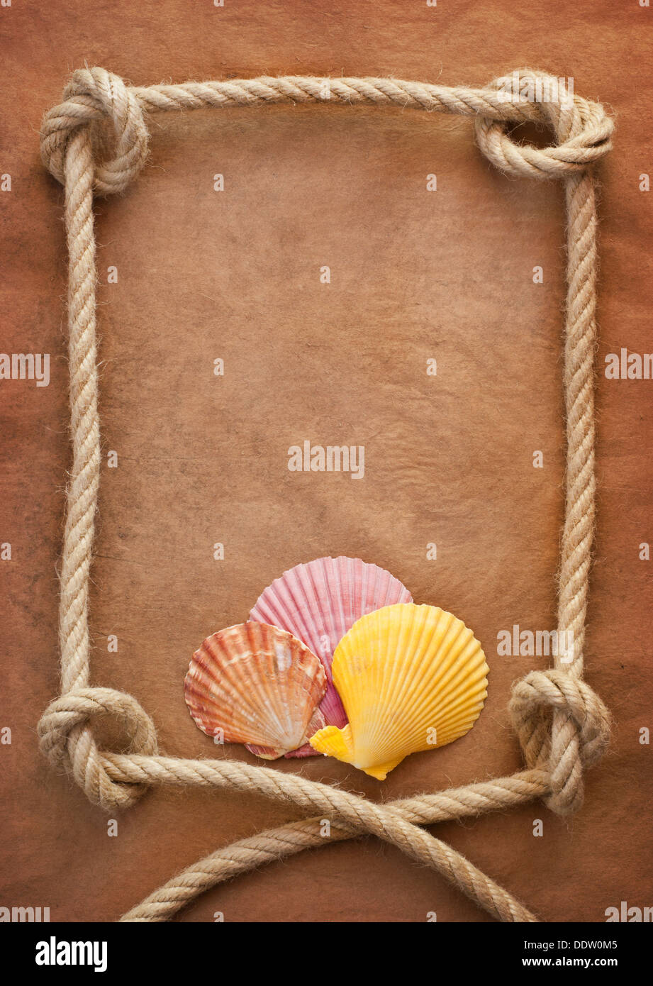 Aged Rope and seashell on the old paper background Stock Photo - Alamy