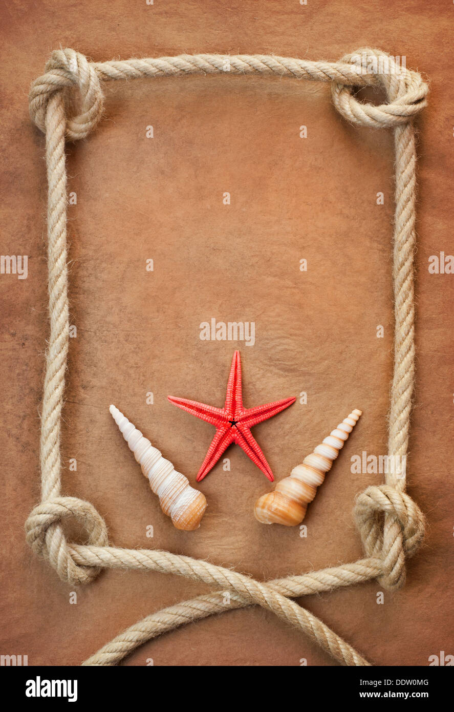 Aged Rope and seashell on the old paper background Stock Photo - Alamy