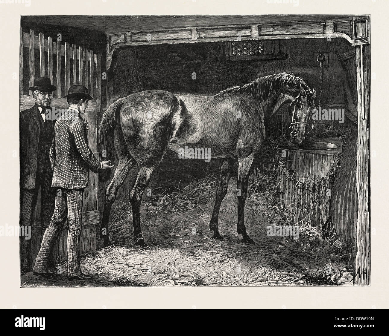 Victorian stable hi-res stock photography and images - Alamy