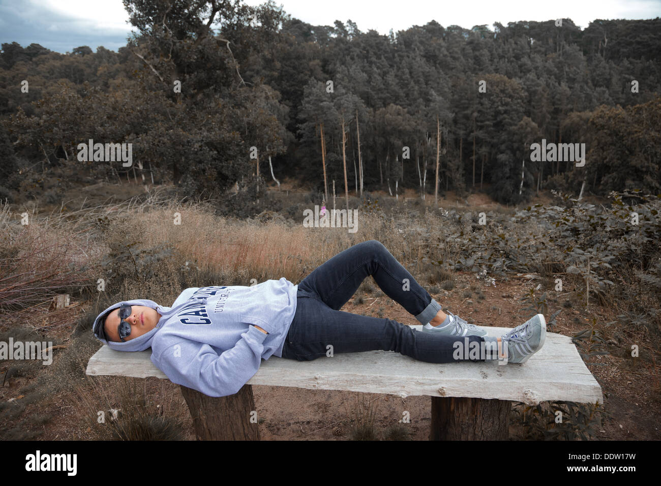 A young guy looking at camera in a forest at the RSPB, Sandy, England ...