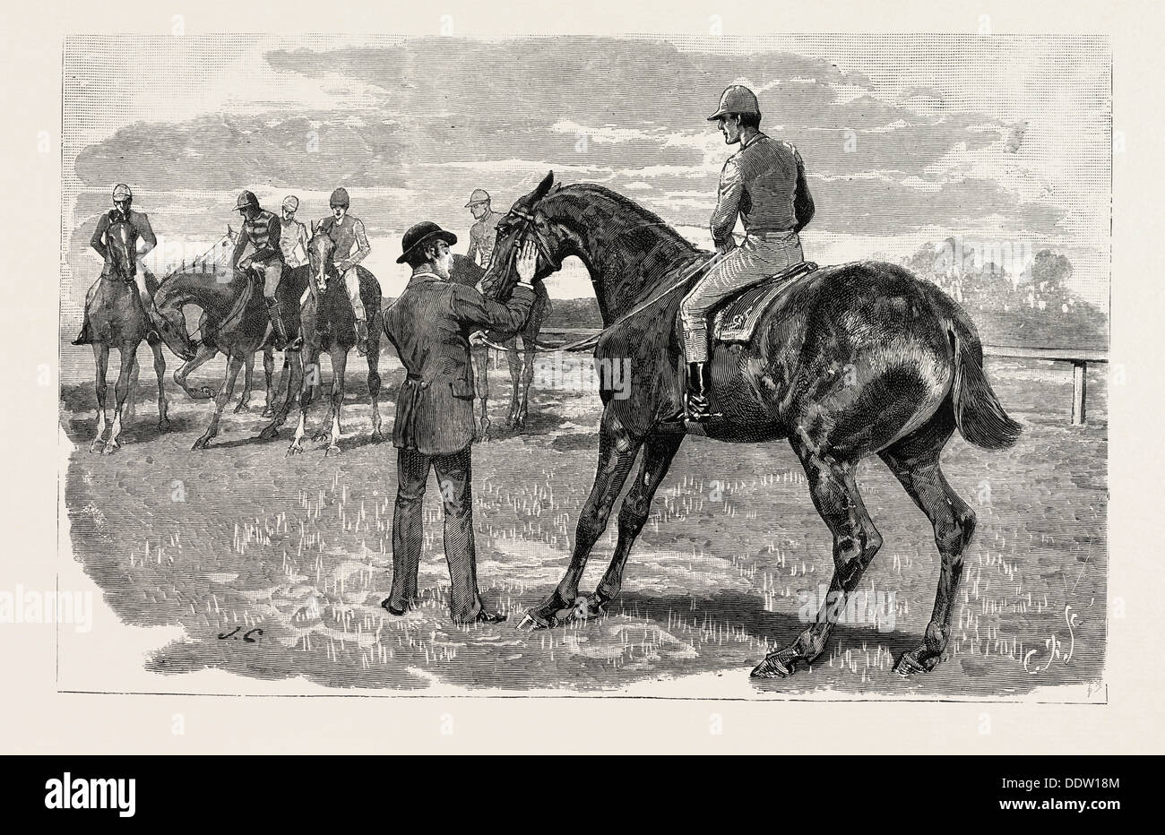 Horse engraving hi-res stock photography and images - Alamy