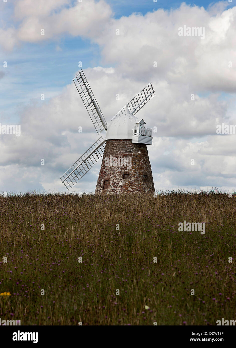 Halnaker Windmill West Sussex Stock Photo - Alamy