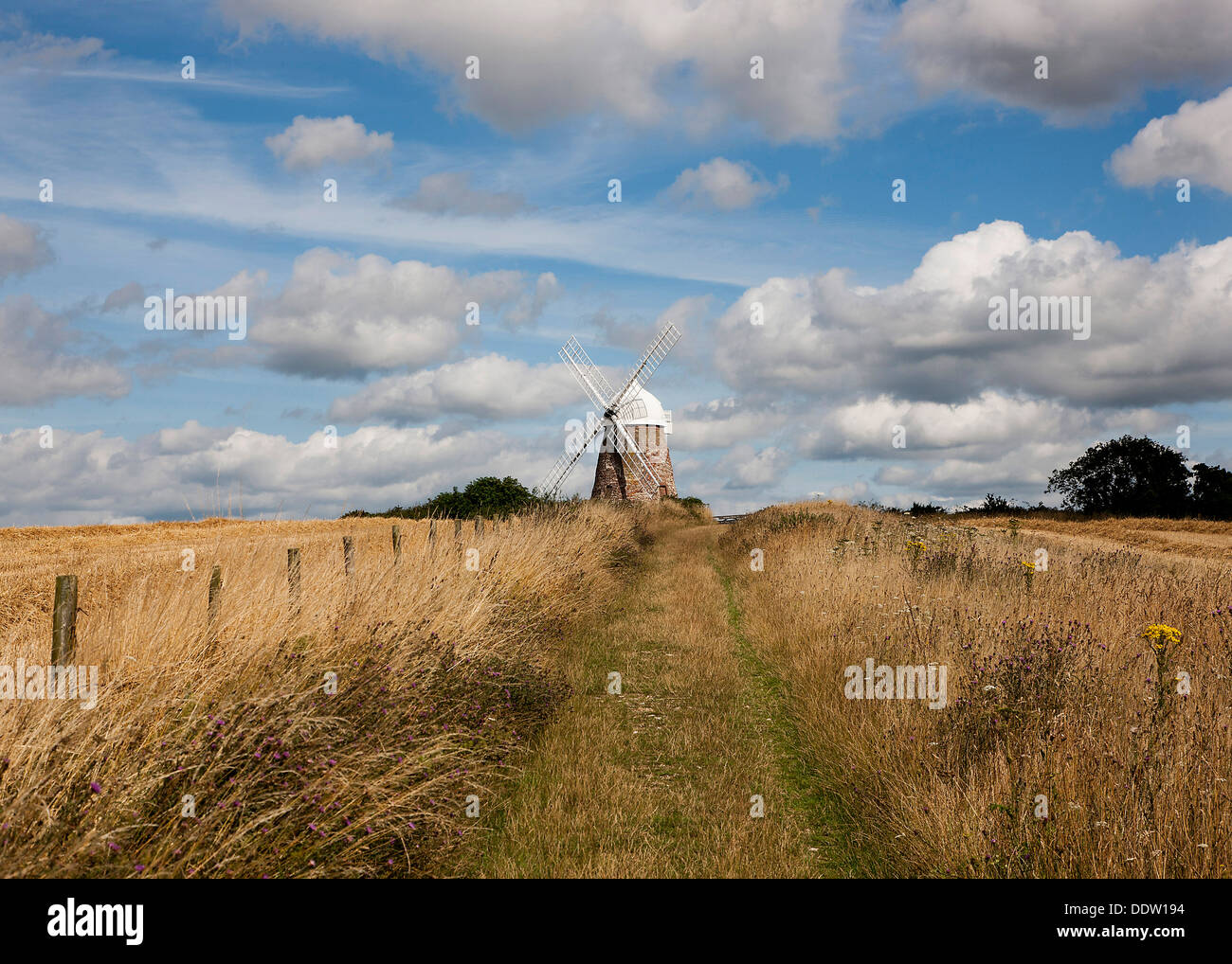 Halnaker park hi-res stock photography and images - Alamy