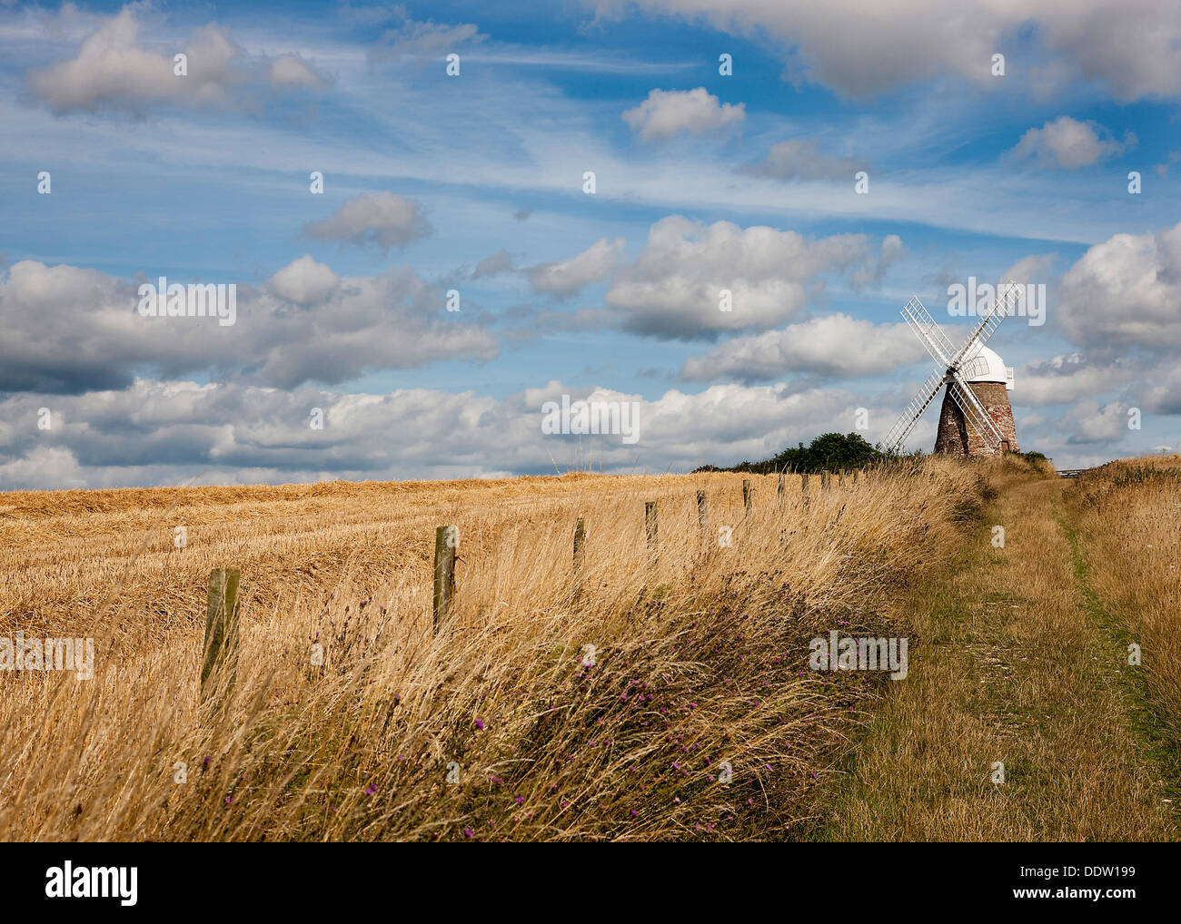 Halnaker Windmill West Sussex Stock Photo - Alamy