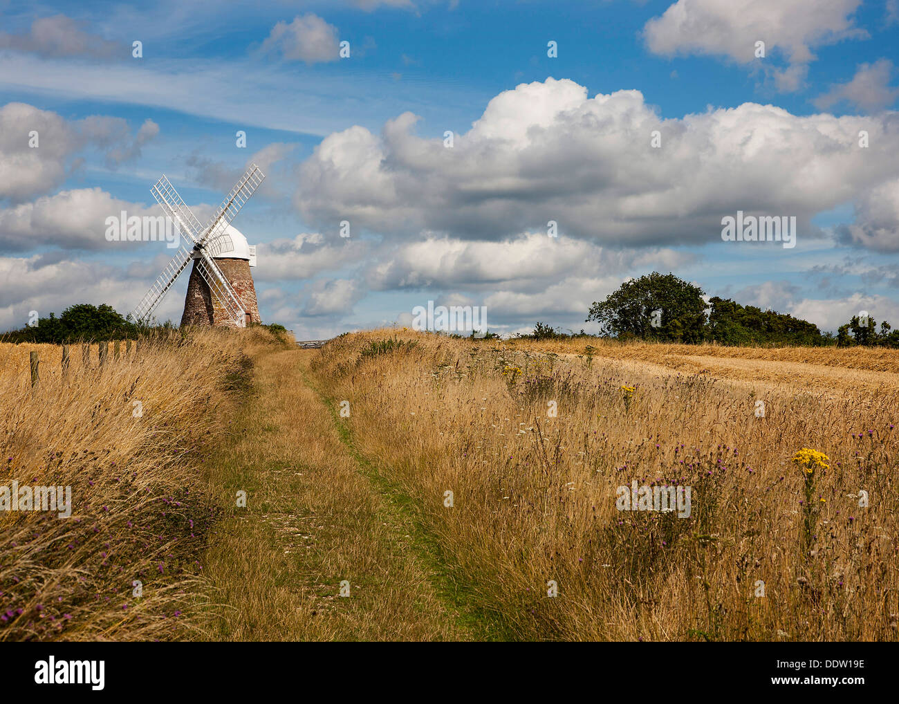 Halnaker hi-res stock photography and images - Alamy