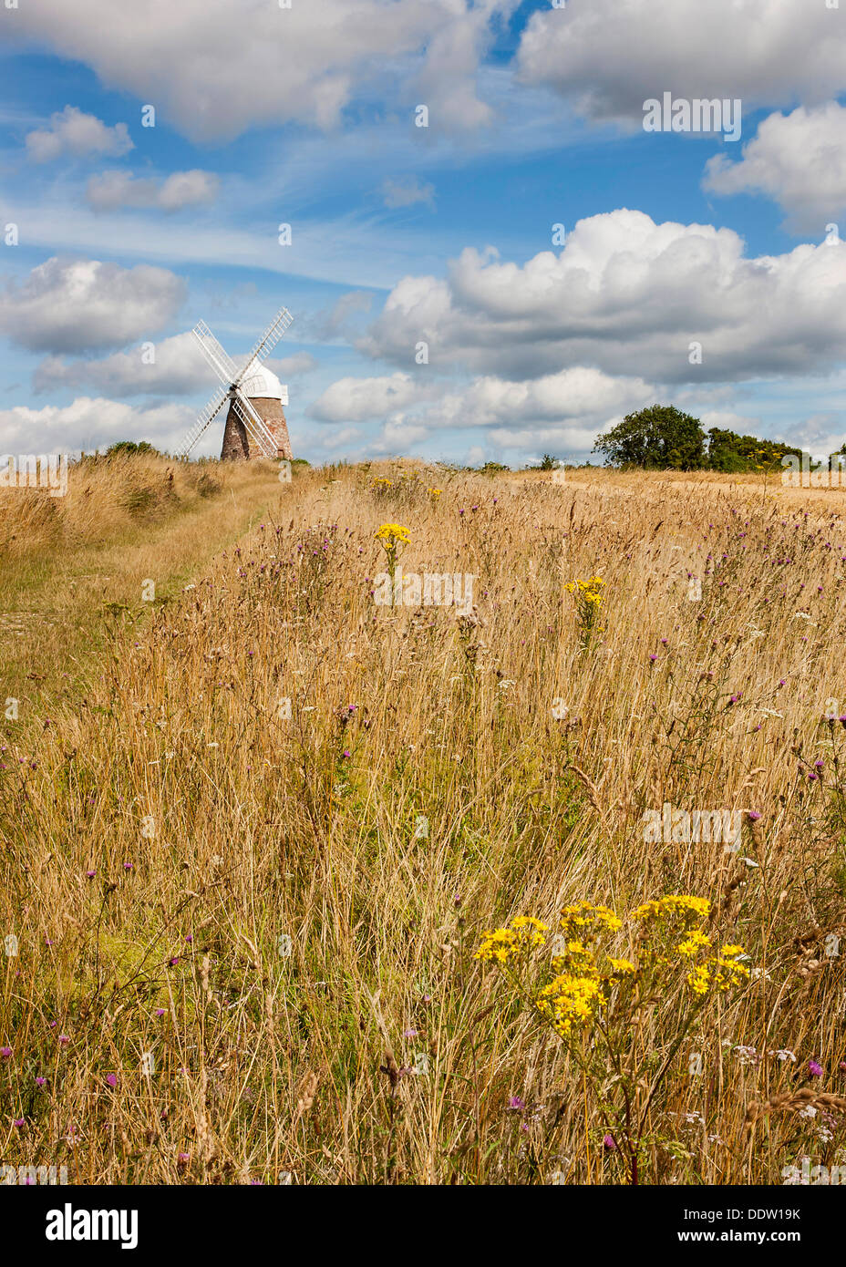 Halnaker park hi-res stock photography and images - Alamy