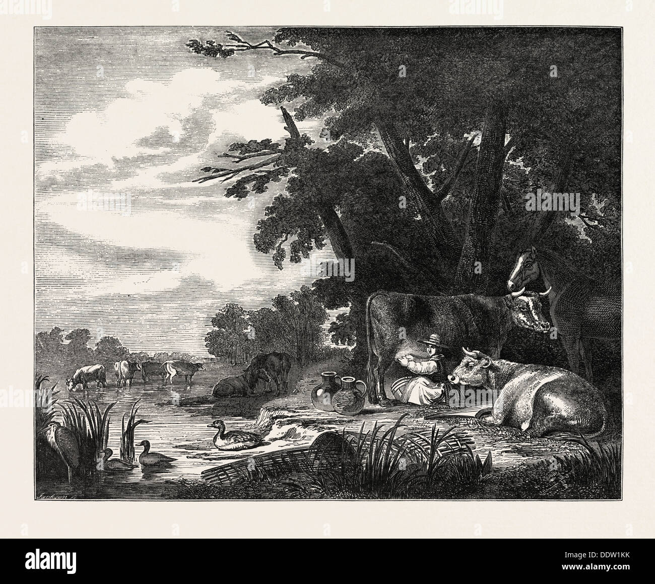 THE BRIDGEWATER GALLERY, MILKING COWS PAINTED BY AELBERT CUYP, 1620 ...