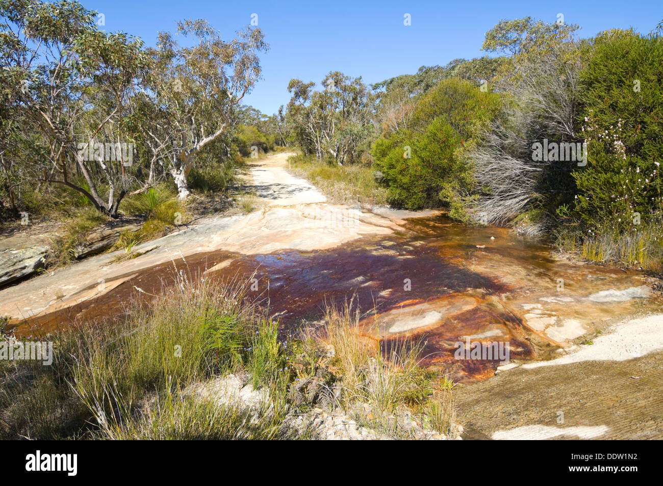 Walking the royal national park hi-res stock photography and images - Alamy