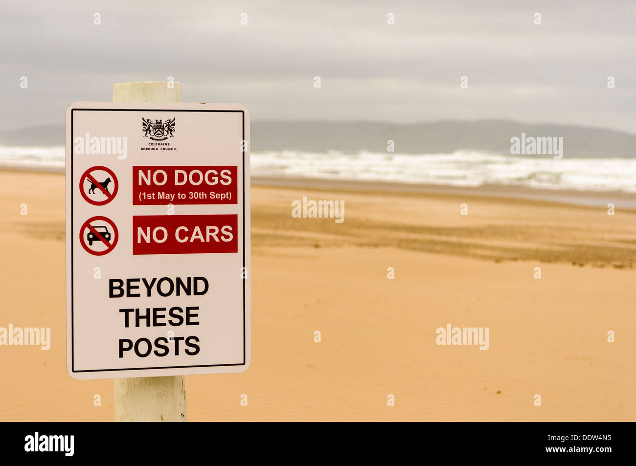No dogs beyond this point sign hi-res stock photography and images - Alamy