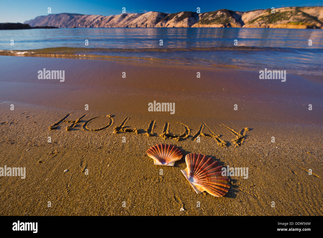 Real shell hi-res stock photography and images - Alamy