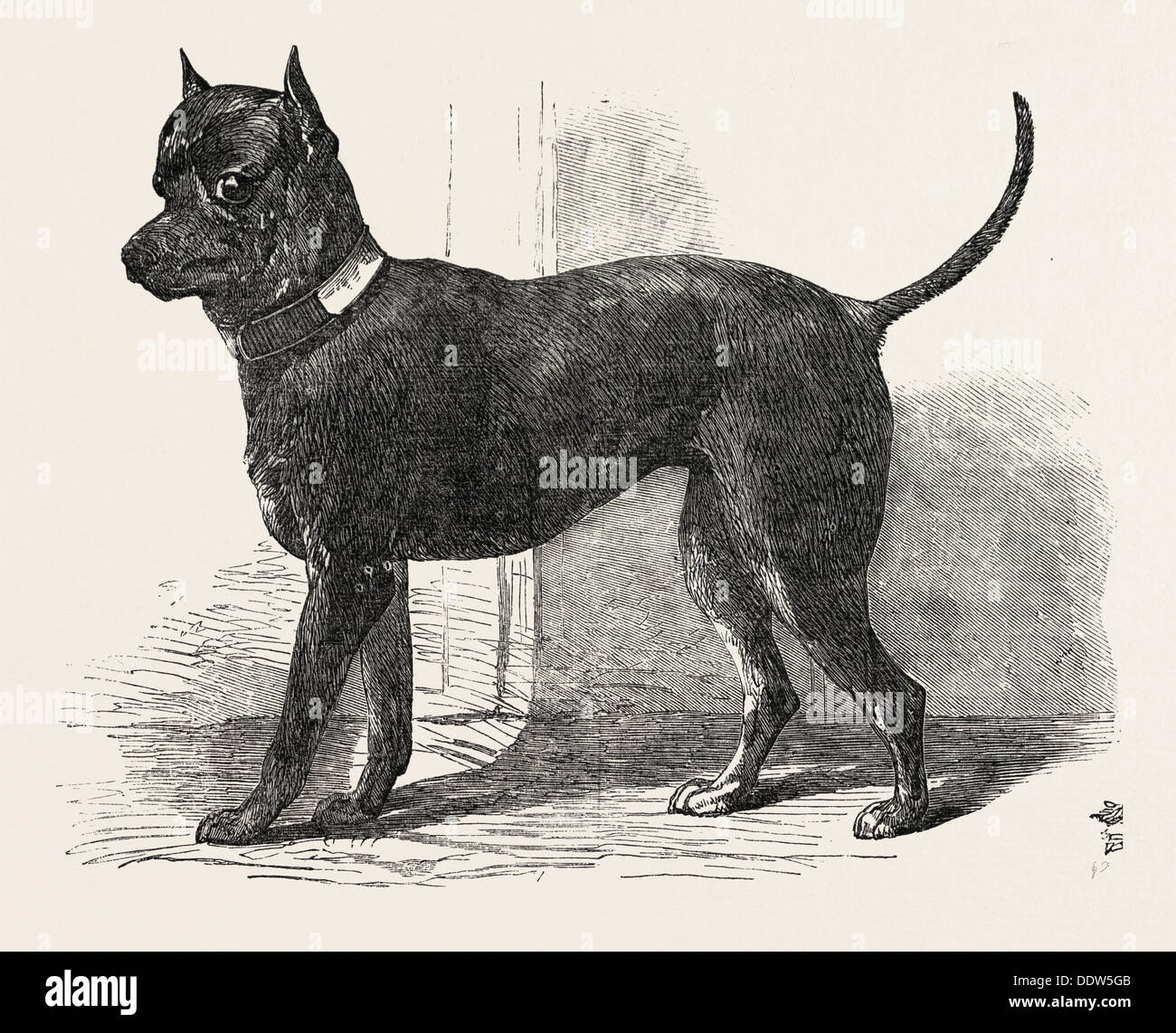 London life 1900s hi-res stock photography and images - Alamy