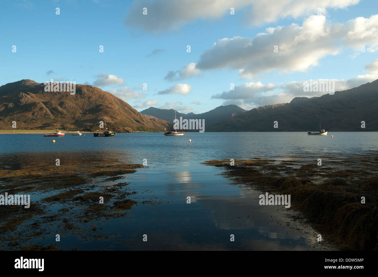 Arnisdale scottish highlands hi-res stock photography and images - Alamy