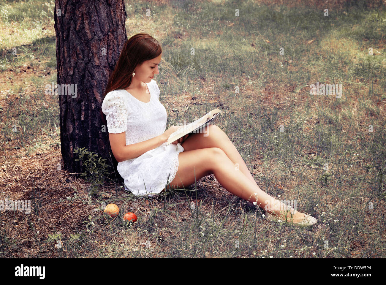 Young girl reading in forest hi-res stock photography and images - Alamy