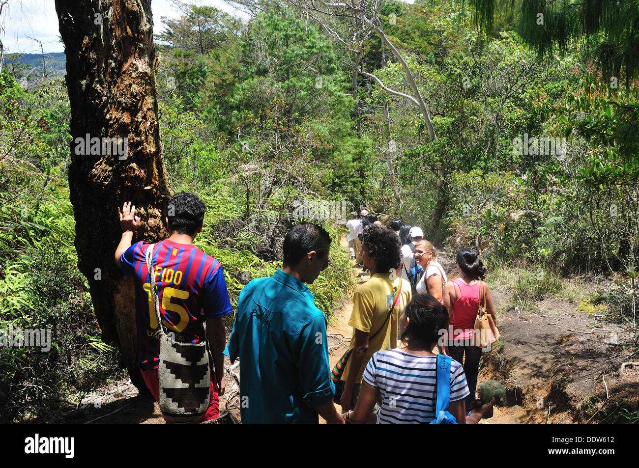 Arví park colombia hi-res stock photography and images - Alamy