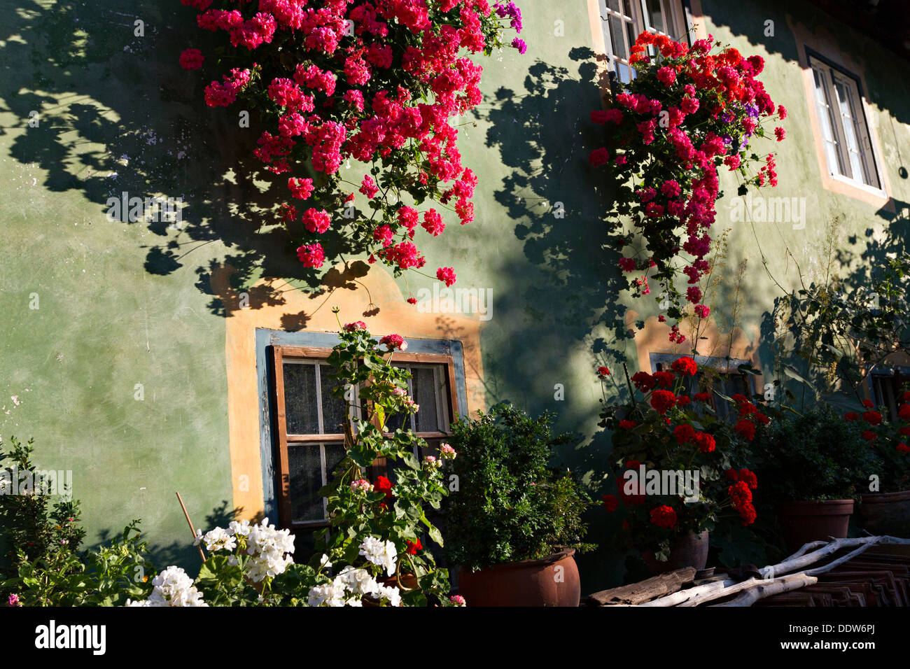 Bavarian geraniums hi-res stock photography and images - Alamy