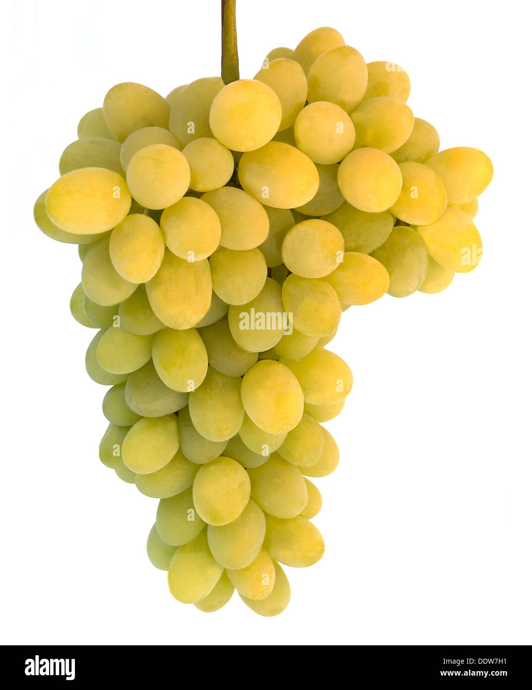 Yellow ripe grape, isolated on white background Stock Photo - Alamy