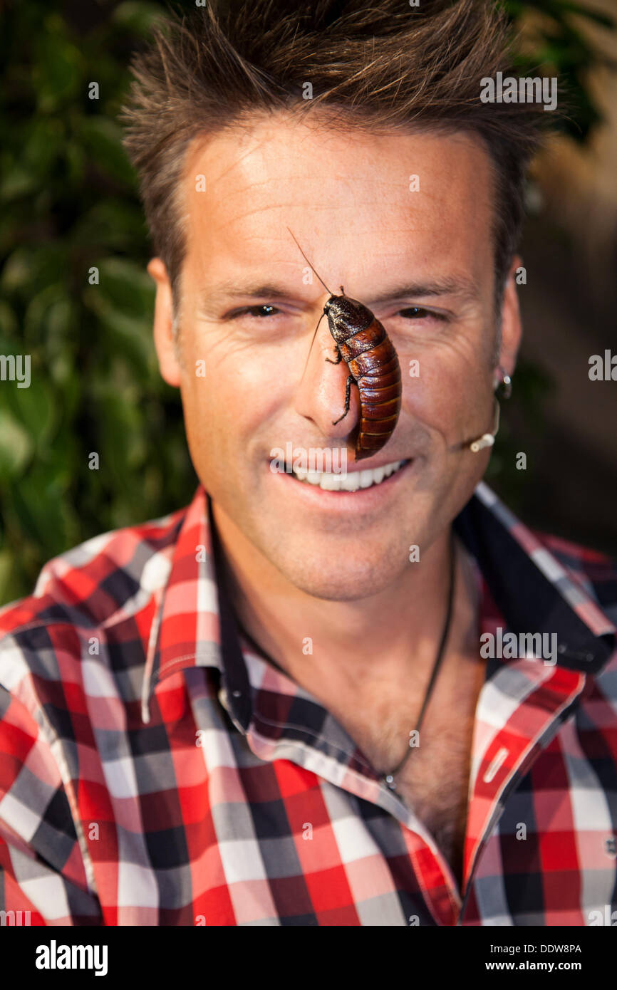 Cockroach face hi-res stock photography and images - Alamy