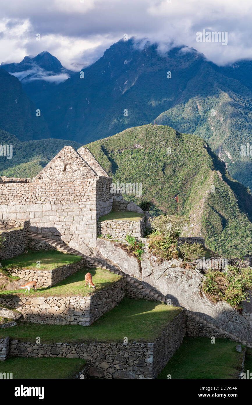 Machu picc hi-res stock photography and images - Alamy
