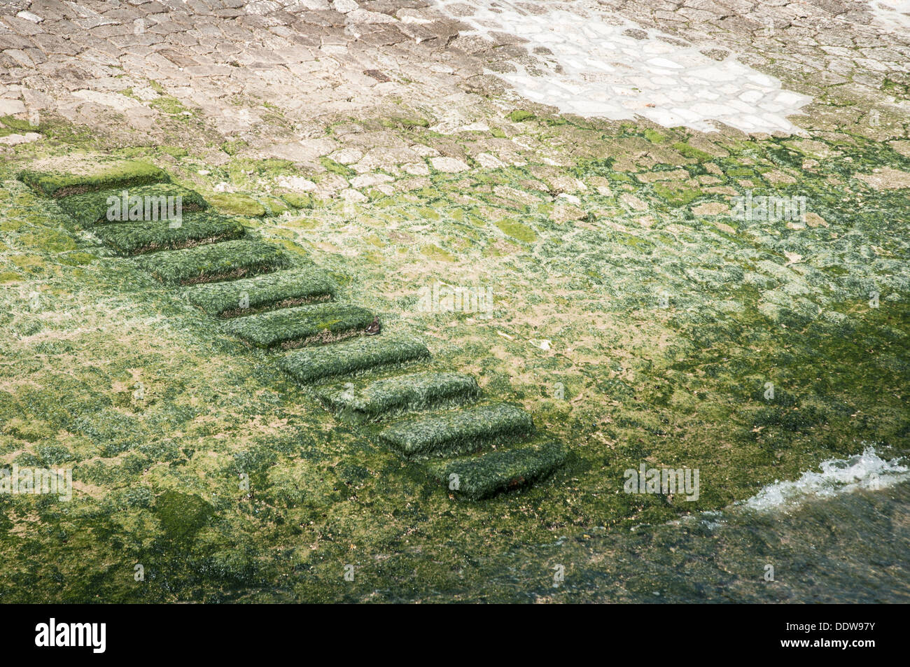 Surface stairs steps slippery when wet hi-res stock photography and ...
