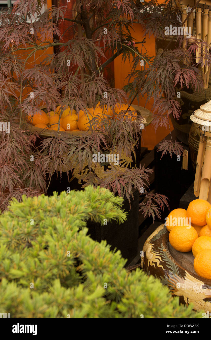 Japanese show garden chelsea flower hi-res stock photography and images ...