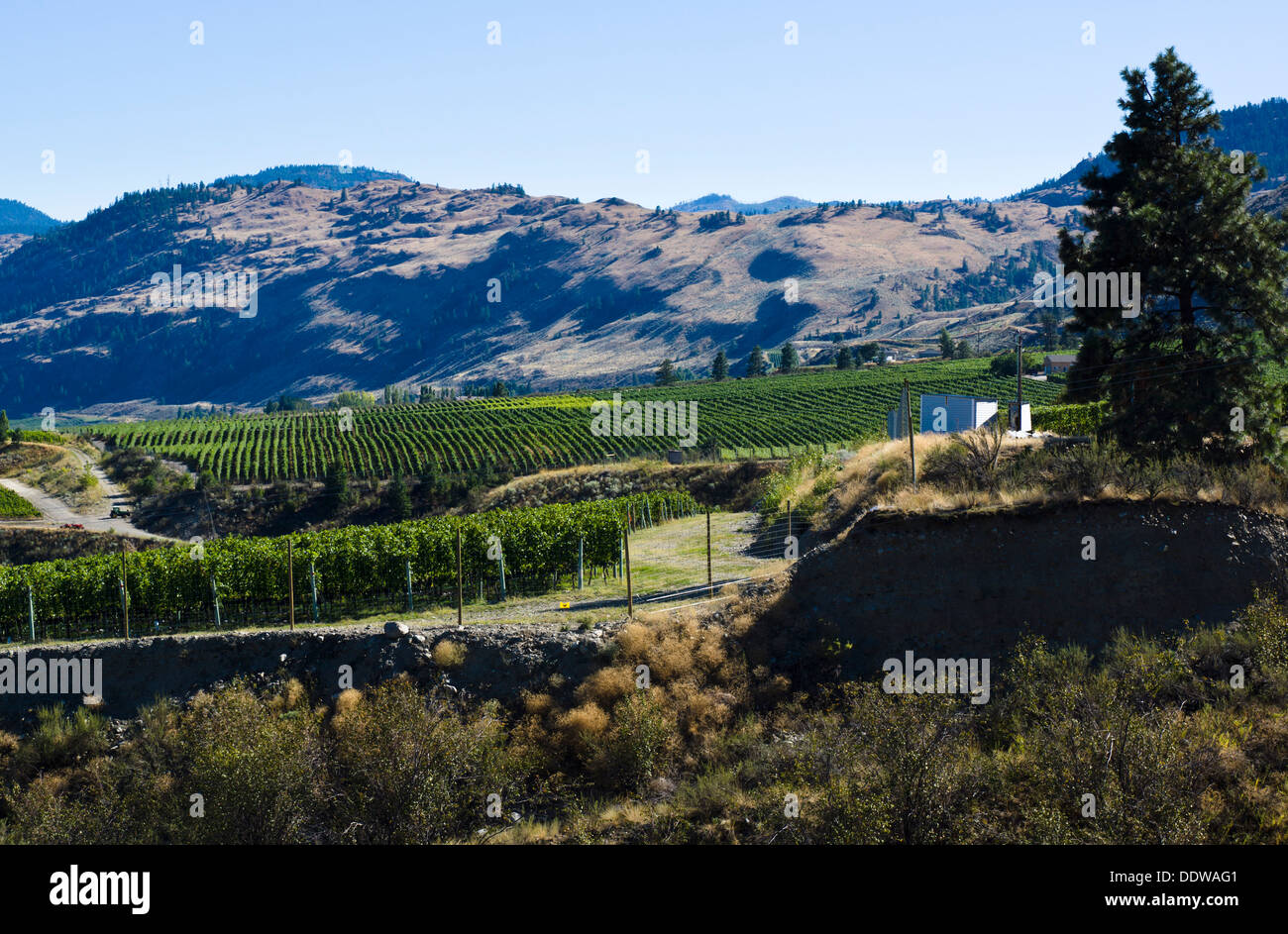 South okanagan valley hi-res stock photography and images - Alamy