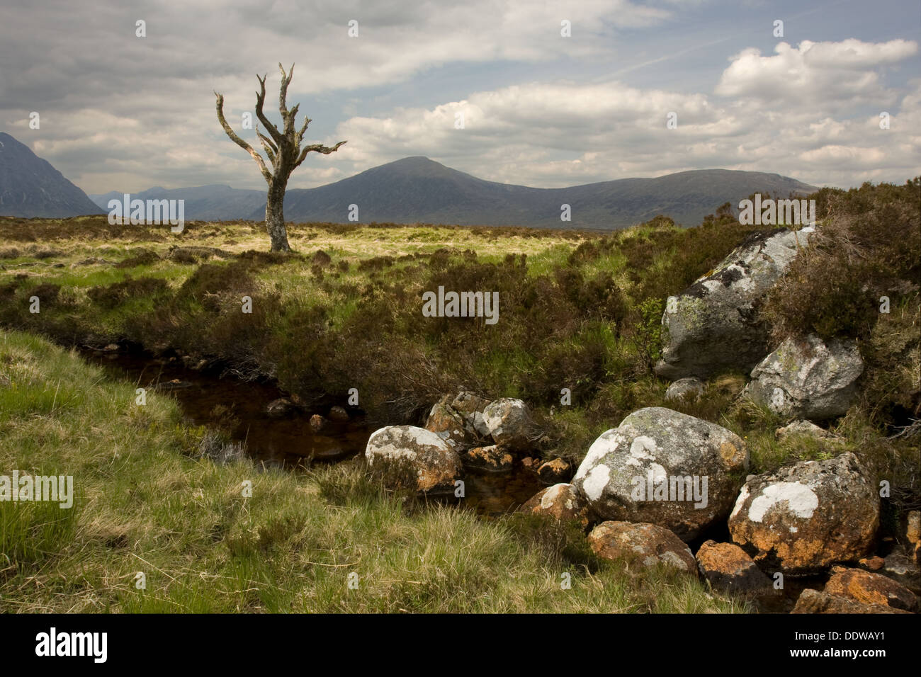 Lonely moors hi-res stock photography and images - Alamy