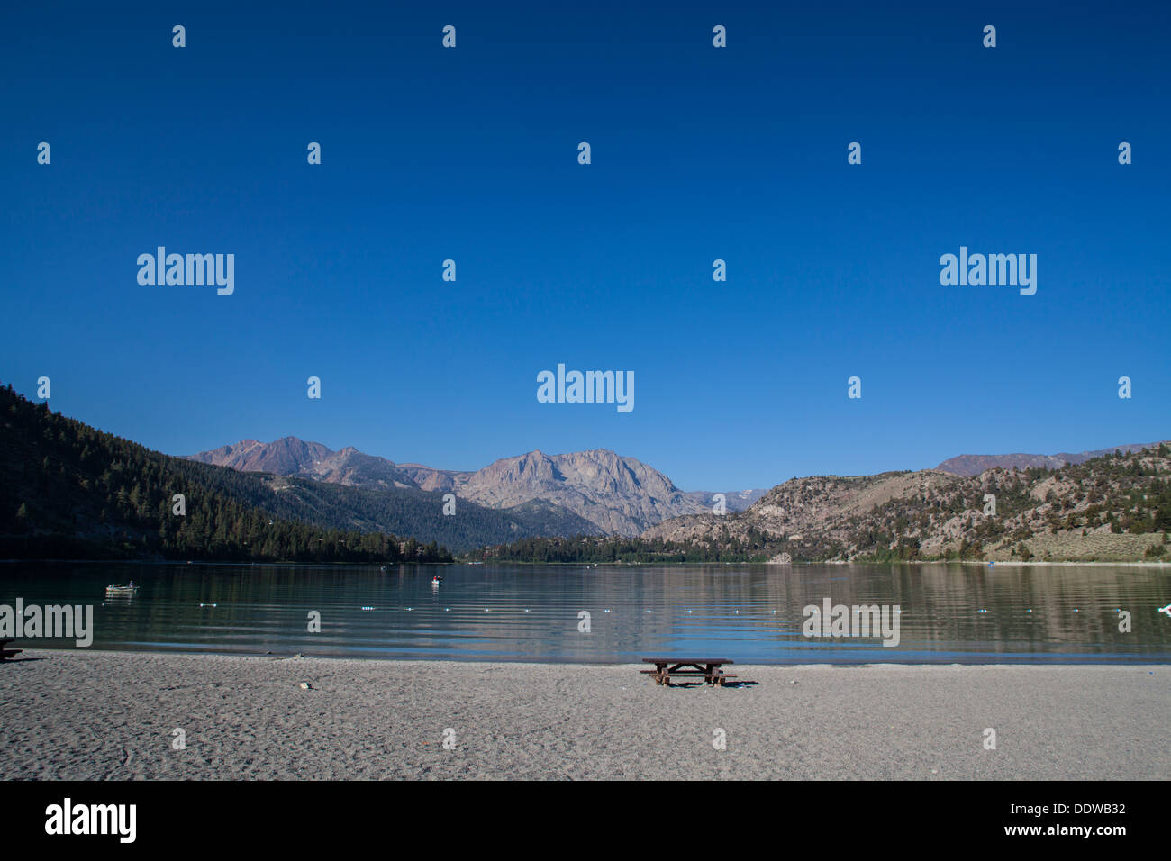 Mammoth lakes basin california fish hi-res stock photography and images ...