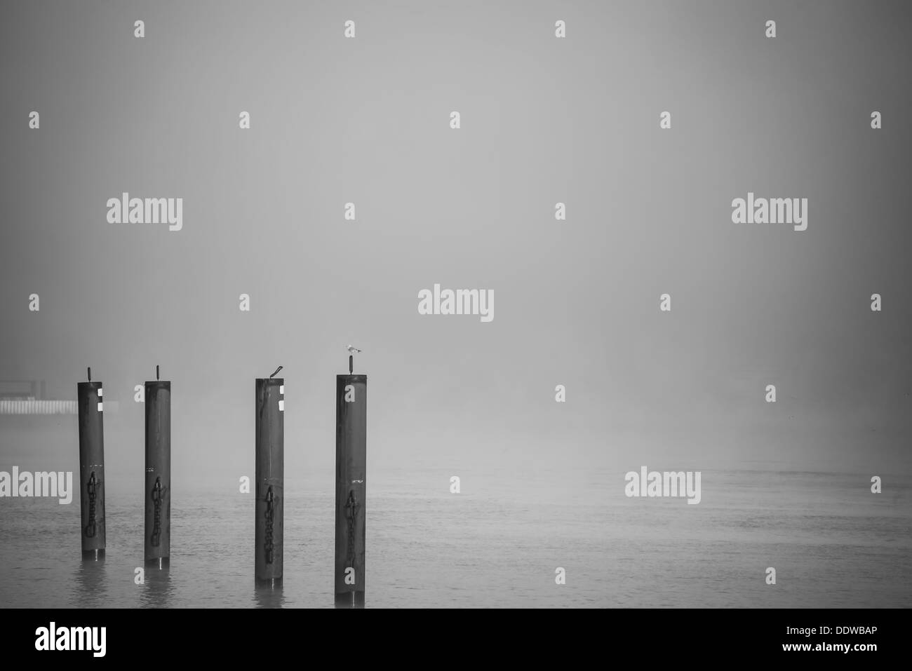 Grayscale scenic nature image with four poles in the sea, under a ...