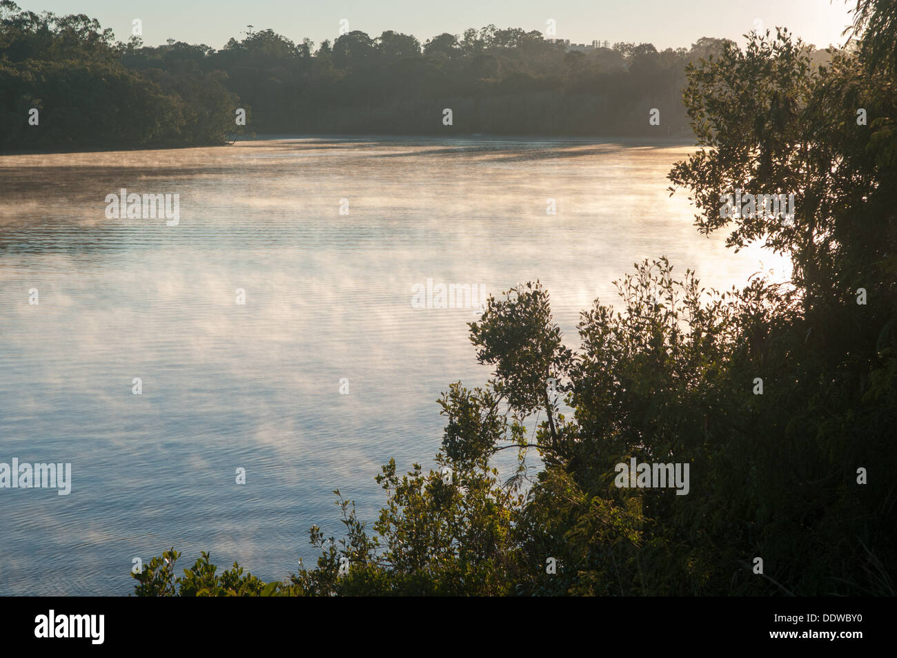Queensland brisbane river water hi-res stock photography and images - Alamy
